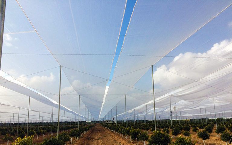 malla anti insectos - Rábita Agrotextil